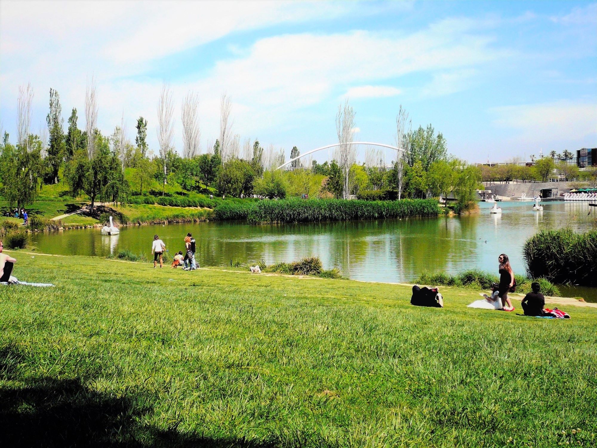 Valencia Best Neighborhoods 2024: Top 7 Areas to Live In!